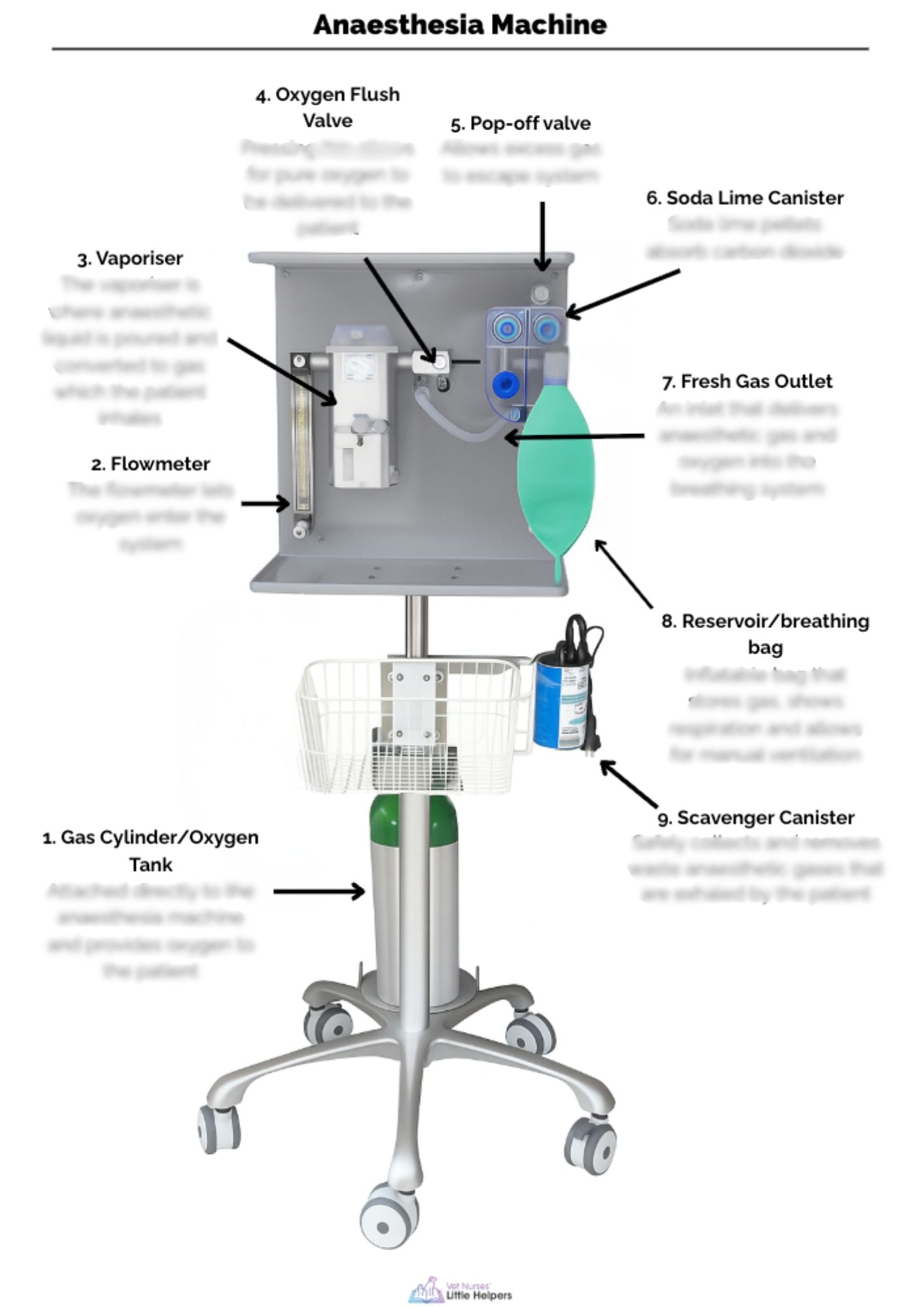 Anaesthesia Machine Poster - Digital Version – Vet Nurses Little Helpers