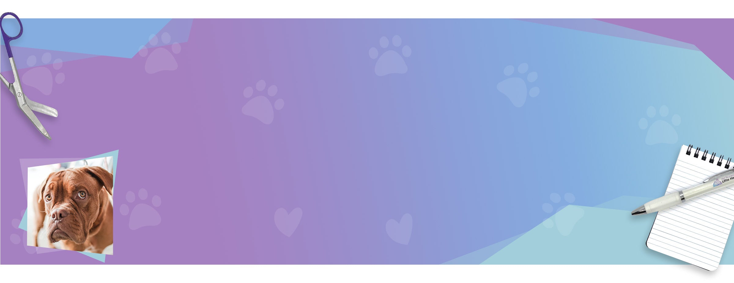 Vet Nurses' Little Helpers – Vet Nurses Little Helpers