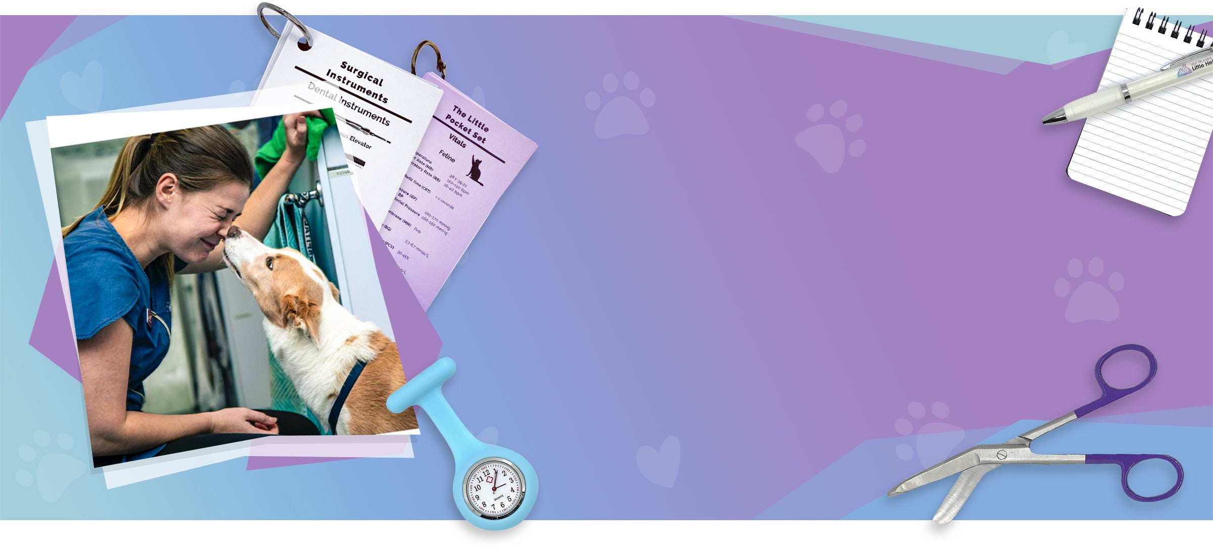 Vet Nurses' Little Helpers – Vet Nurses Little Helpers