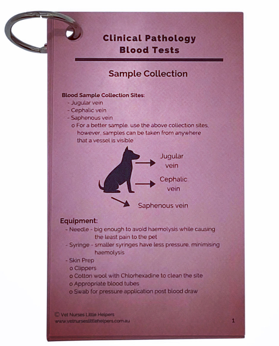 Flash Card Sets – Vet Nurses Little Helpers