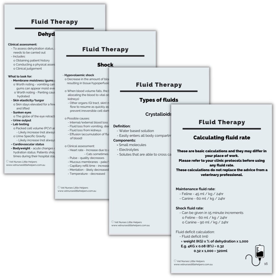 Fluid Therapy Flash Card Set - Digital Version - Vet Nurses Little Helpers