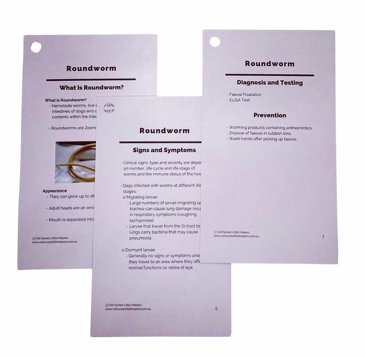 Roundworm – Vet Nurses Little Helpers