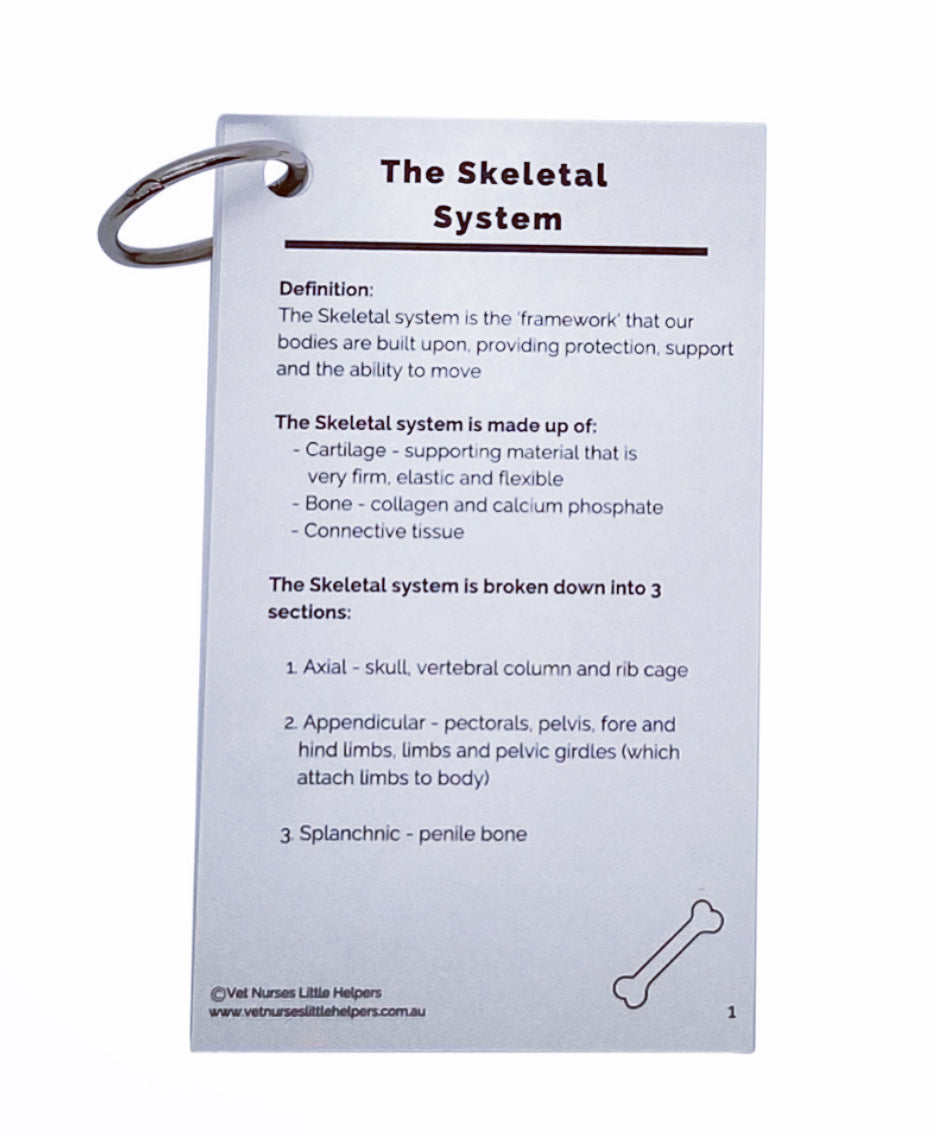 The Skeletal System - Vet Nurses Little Helpers