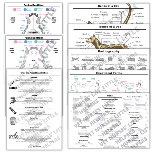The Student Bundle - Vet Nurses Little Helpers