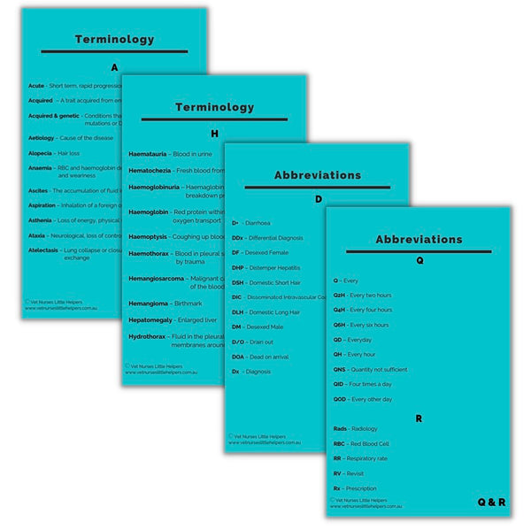 Terminology and Abbreviations Flash Card Set - Digital Version – Vet ...