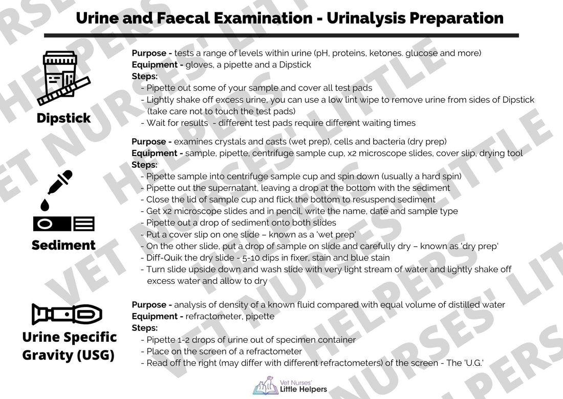 Urine and Faecal Examination Info Card – Vet Nurses Little Helpers