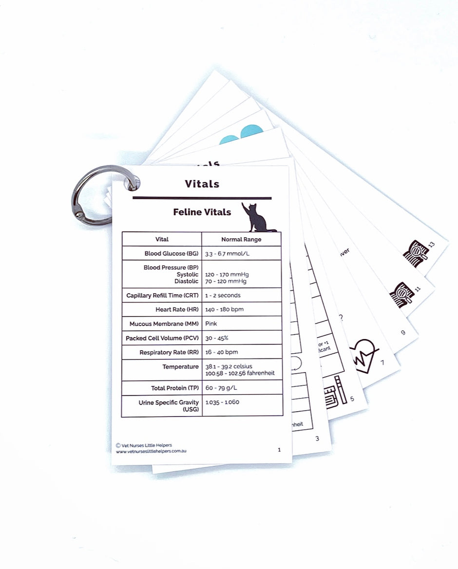 Vet Nurses' Little Helpers – Vet Nurses Little Helpers